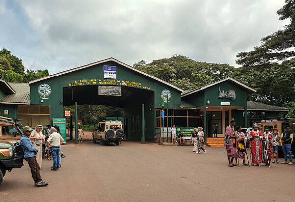 Ngorongoro Conservation Area | National Park in Tanzania
